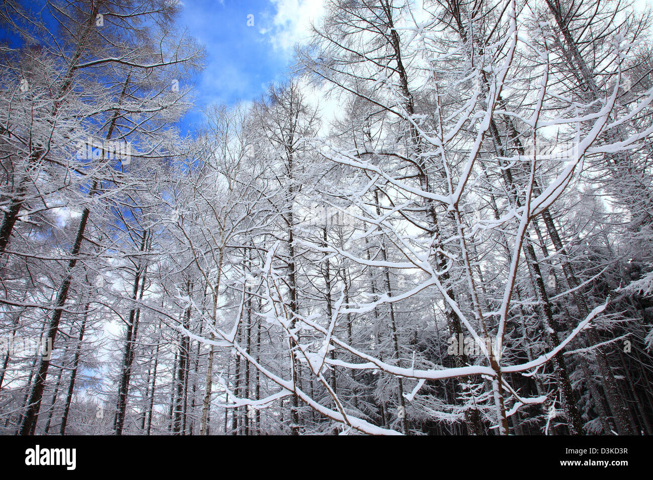 Shinanomachi hi-res stock photography and images - Alamy