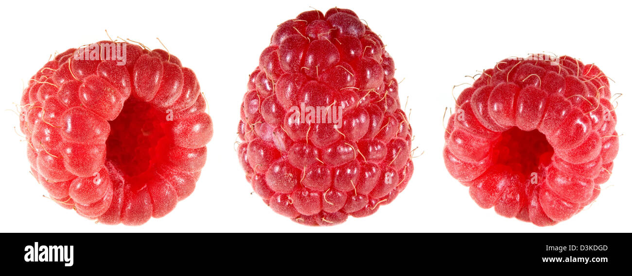 Three Ripe Raspberry Isolated on White Background Stock Photo - Alamy