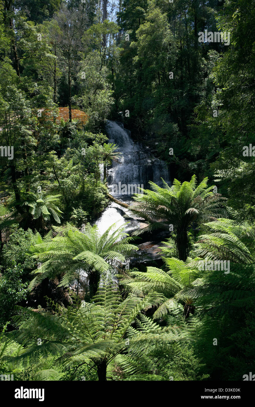 Ferguson, Australia, the Triplet Falls in the Great Otway National Park ...