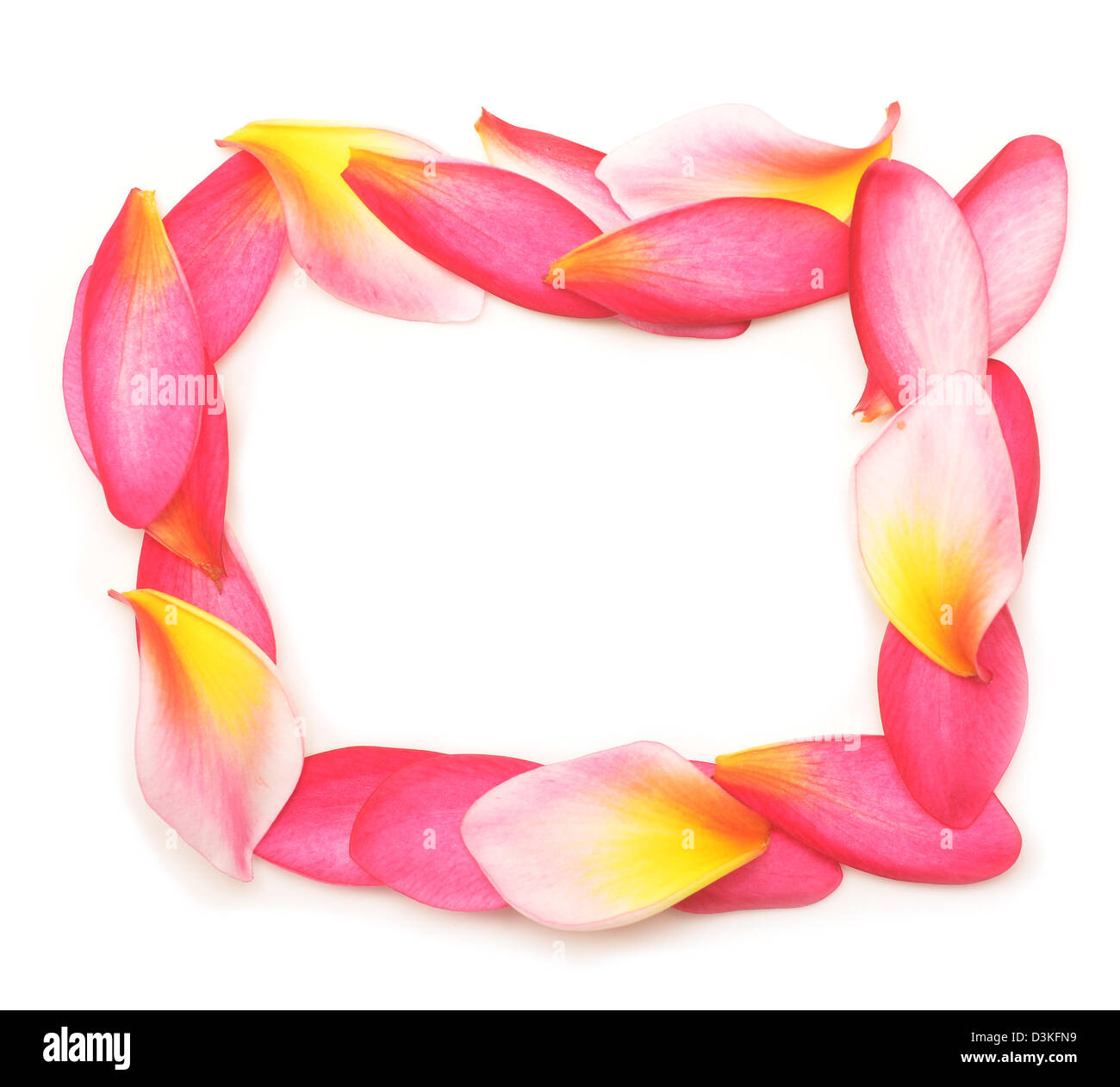 Lovely floral frame Cut Out Stock Images & Pictures - Alamy