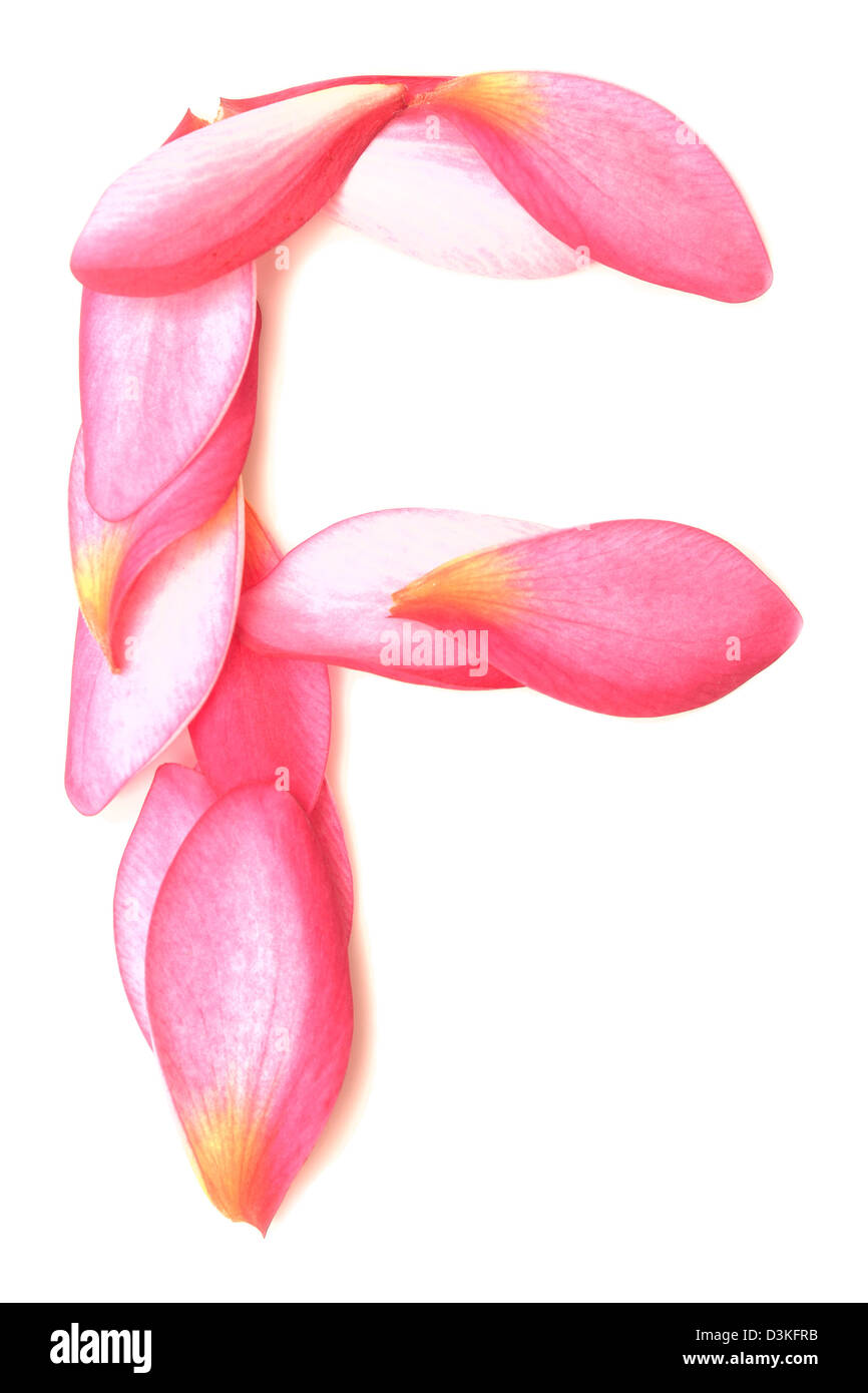 Floral font letter f hi-res stock photography and images - Alamy