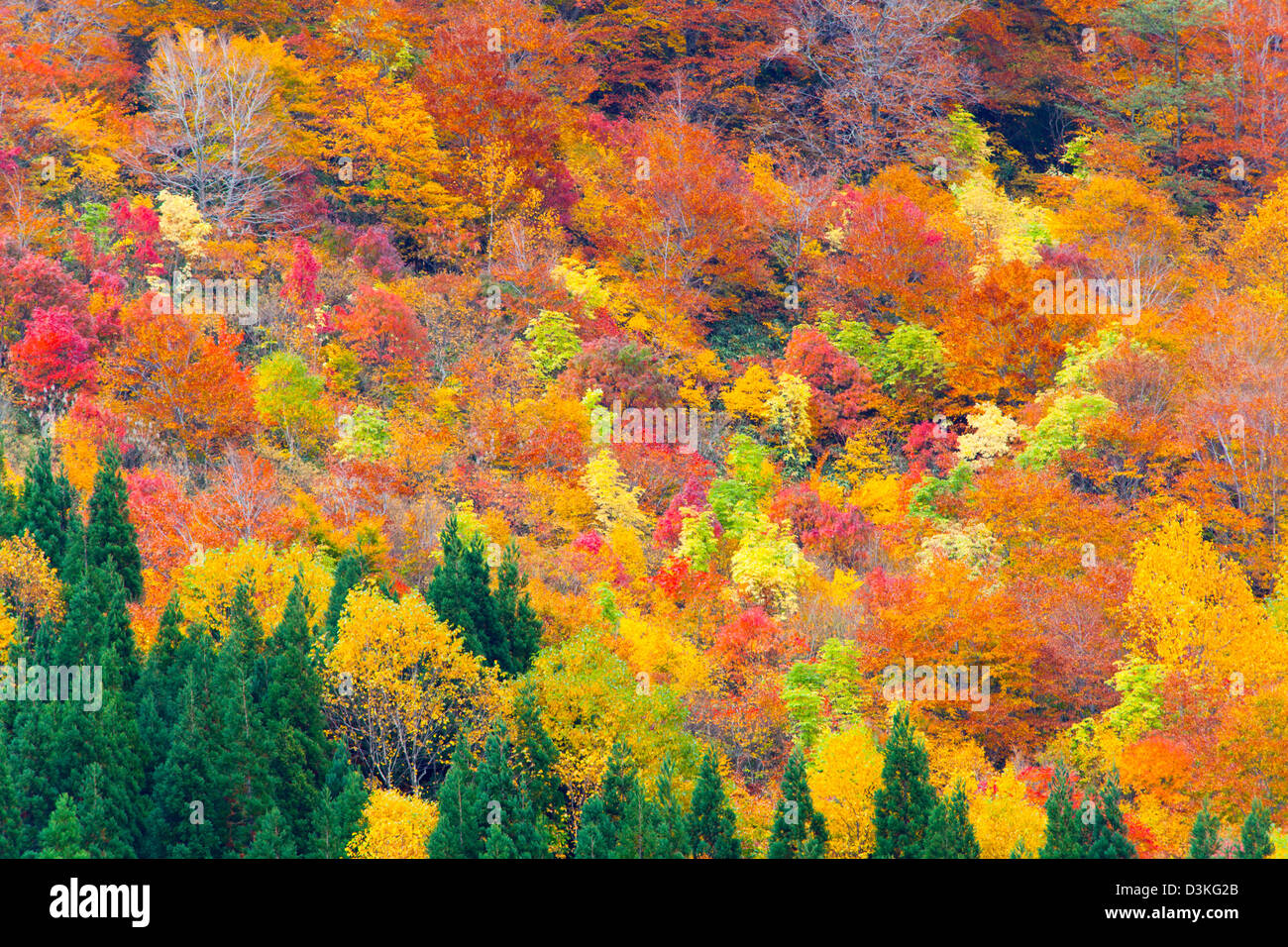 Akita city mountain hi-res stock photography and images - Alamy