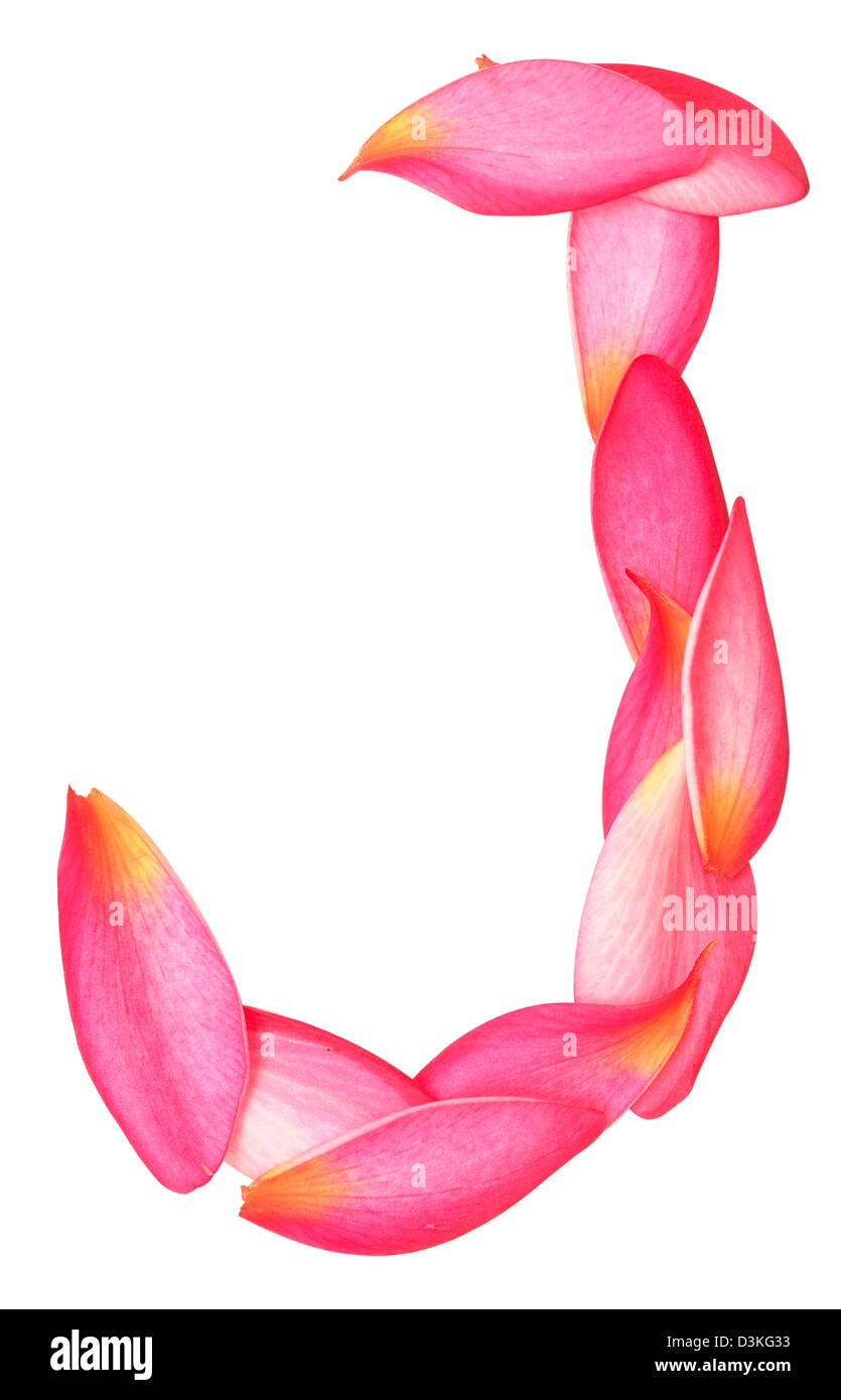 letter J made from beauty flower petals on white Stock Photo - Alamy