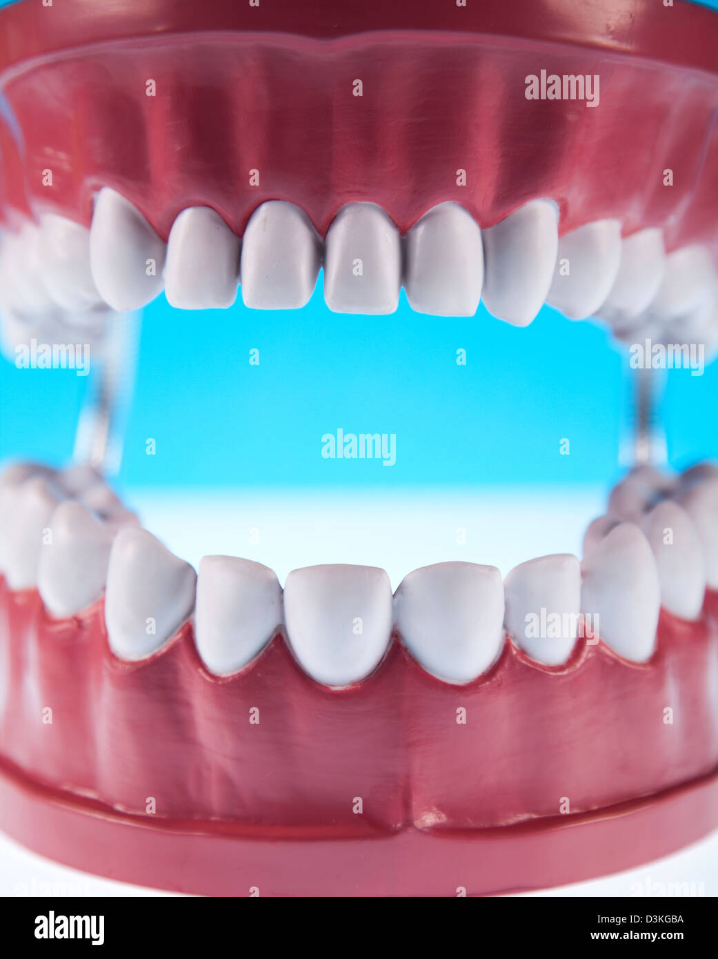 Teeth plaque red hi-res stock photography and images - Alamy