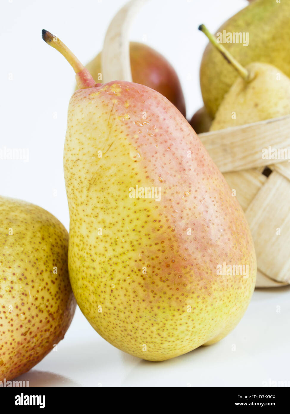 Ripe pear on white background. The cultivation of the pear in cool ...