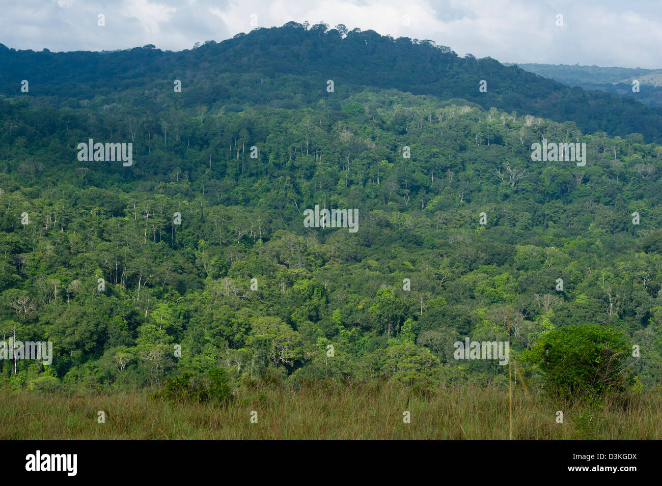 Giriama Viewpoint, Shimba Hills National Reserve, Kenya Stock Photo - Alamy