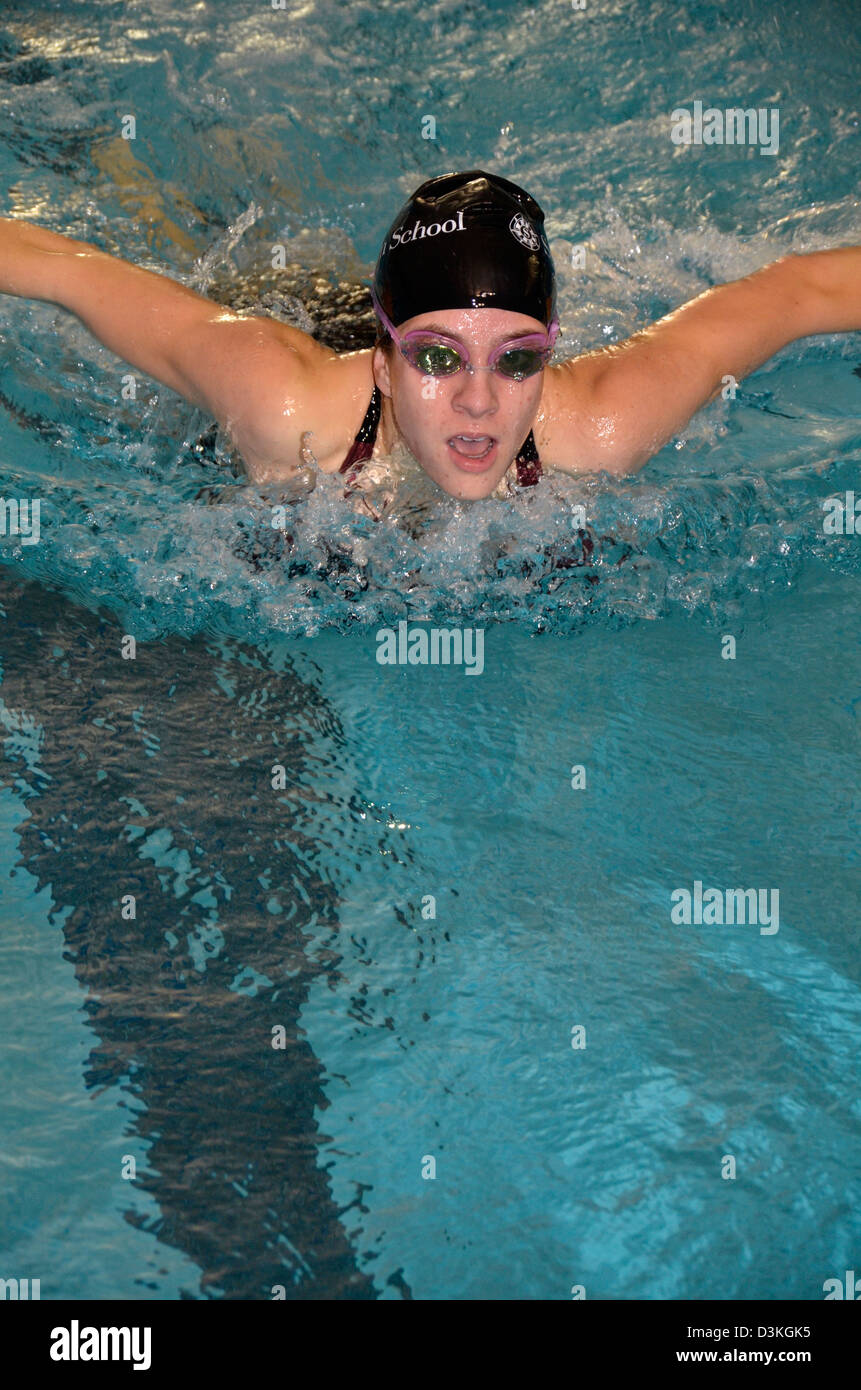 Swimmer in a swim meet Stock Photo - Alamy