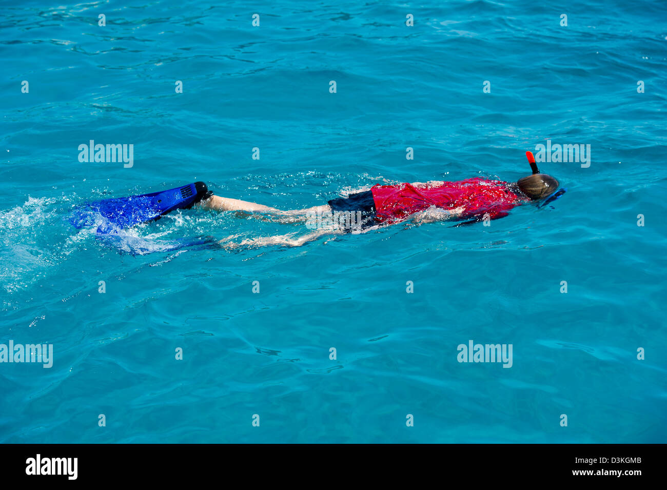 Wasini island snorkelling hi-res stock photography and images - Alamy