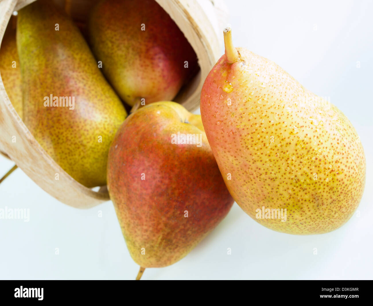 Ripe pear on white background. The cultivation of the pear in cool ...