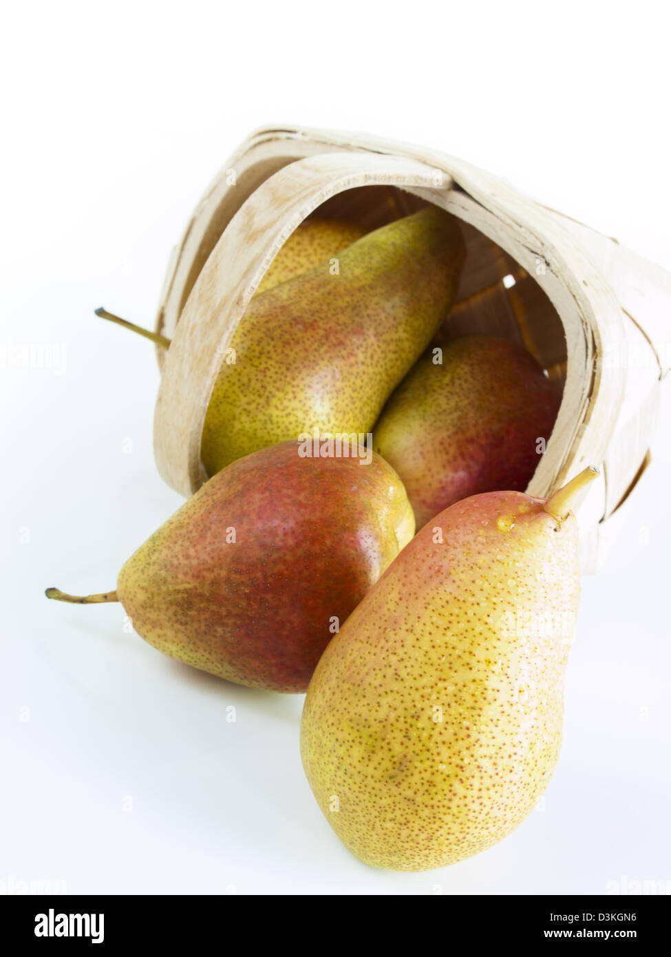 Ripe pear on white background. The cultivation of the pear in cool ...