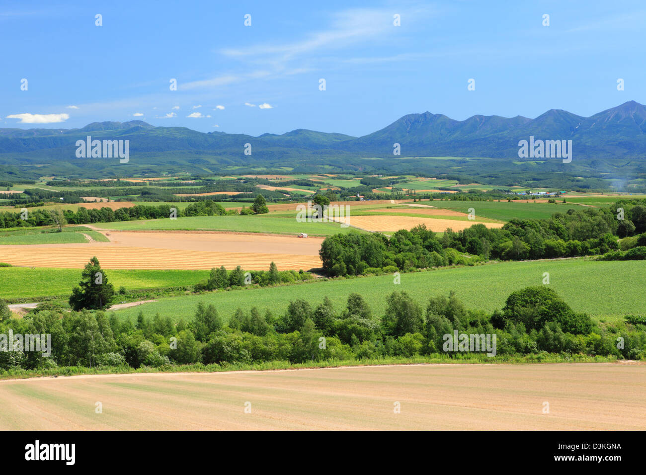 Biei countryside, Hokkaido Stock Photo - Alamy