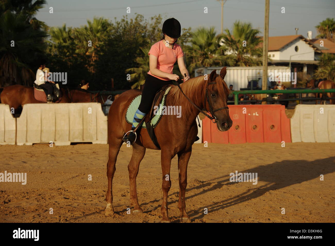 Riding habit horse hi-res stock photography and images - Alamy