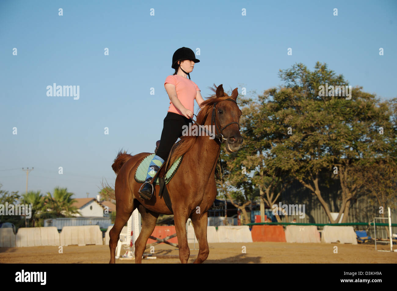 Riding habit horse hi-res stock photography and images - Alamy