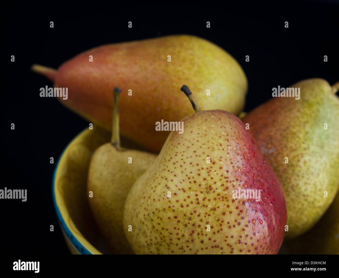 Ripe pear on black background. The cultivation of the pear in cool ...