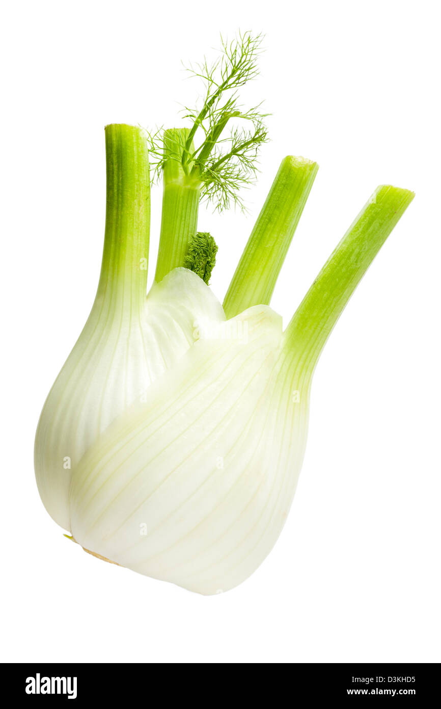 Fennel Stock Photo - Alamy