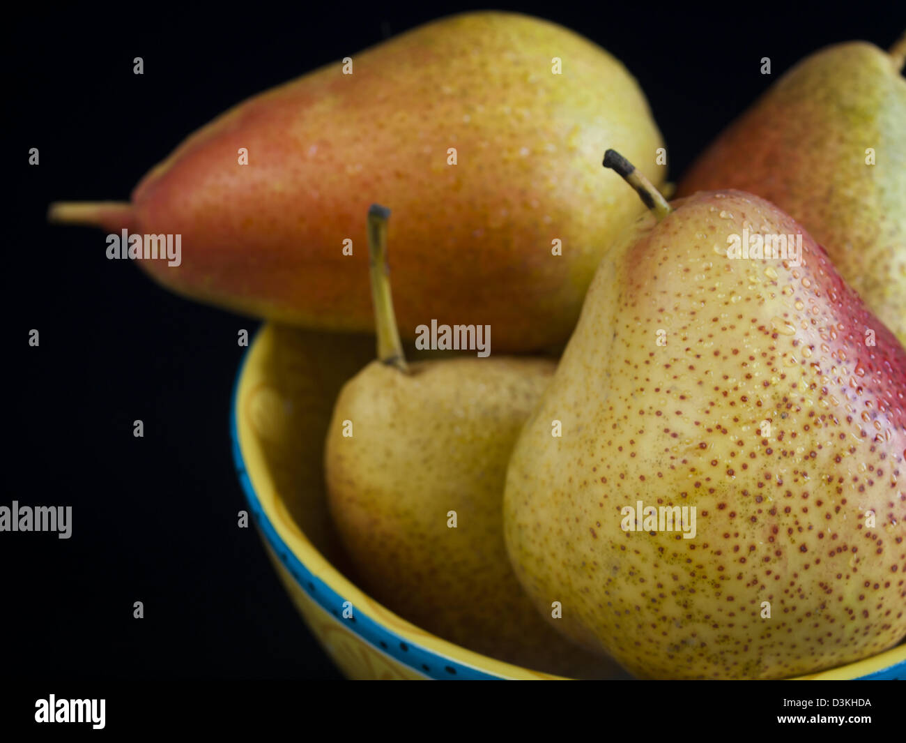 Ripe pear on black background. The cultivation of the pear in cool ...