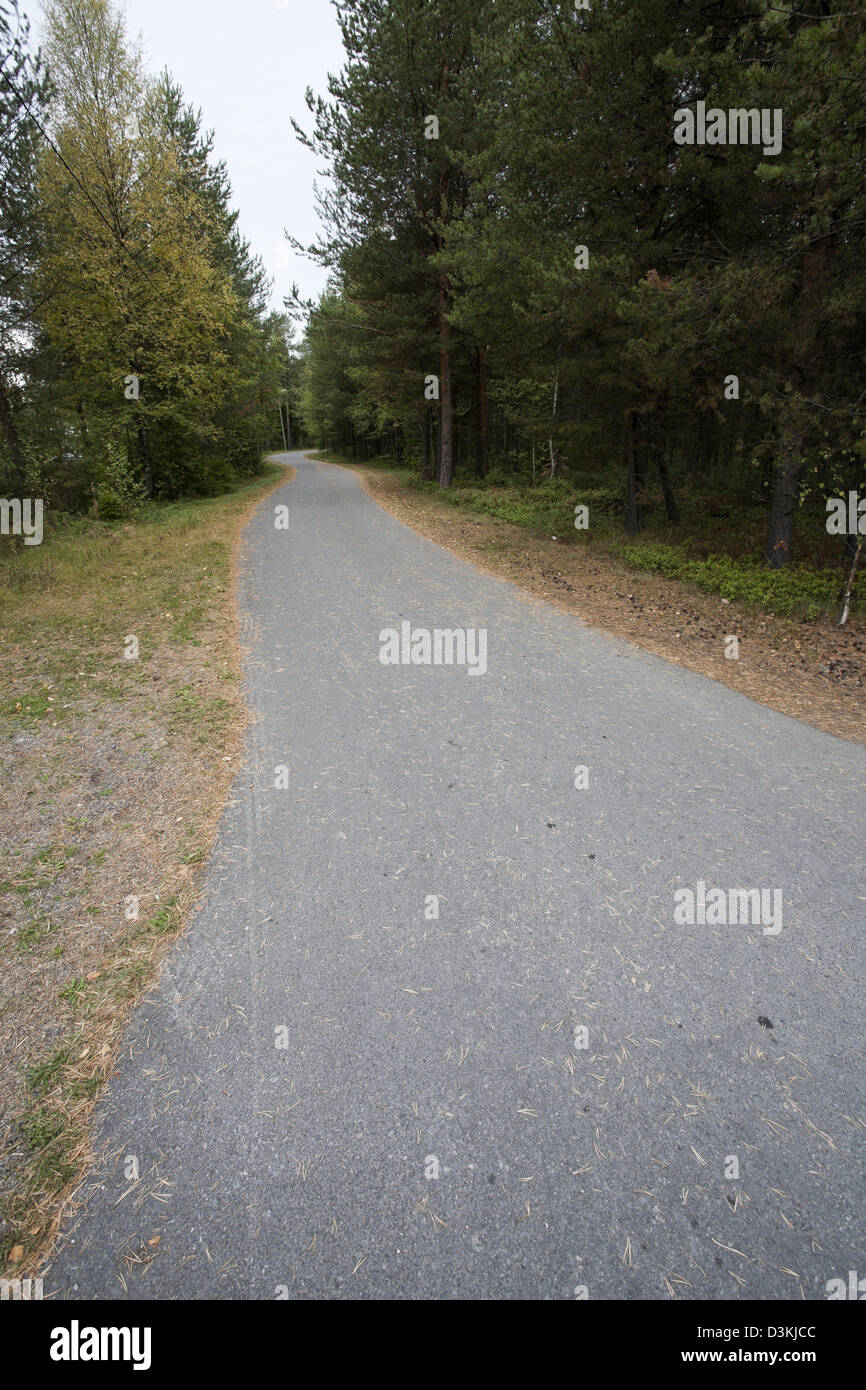 Through forest hi-res stock photography and images - Alamy