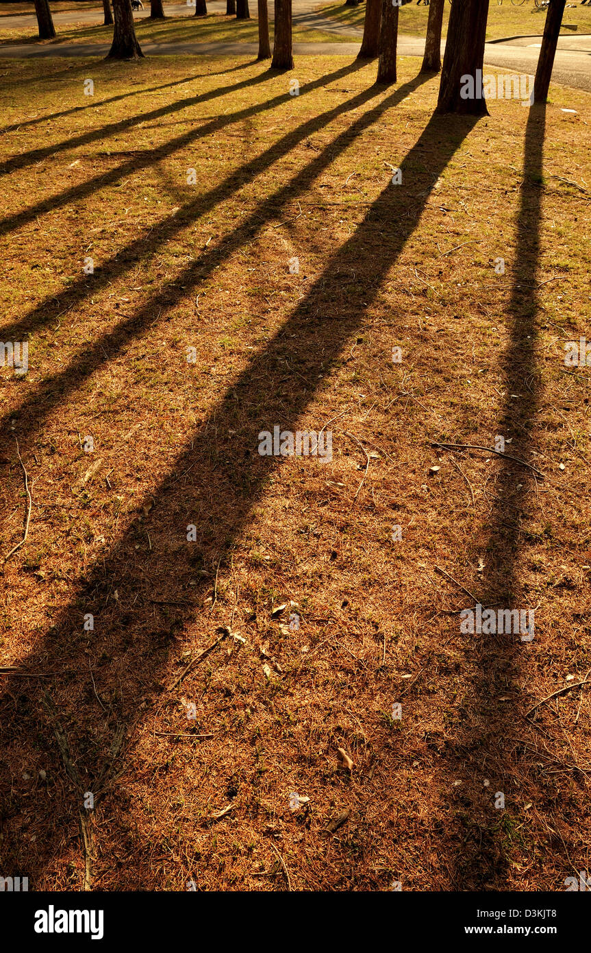 Silhouette on the ground hi-res stock photography and images - Alamy