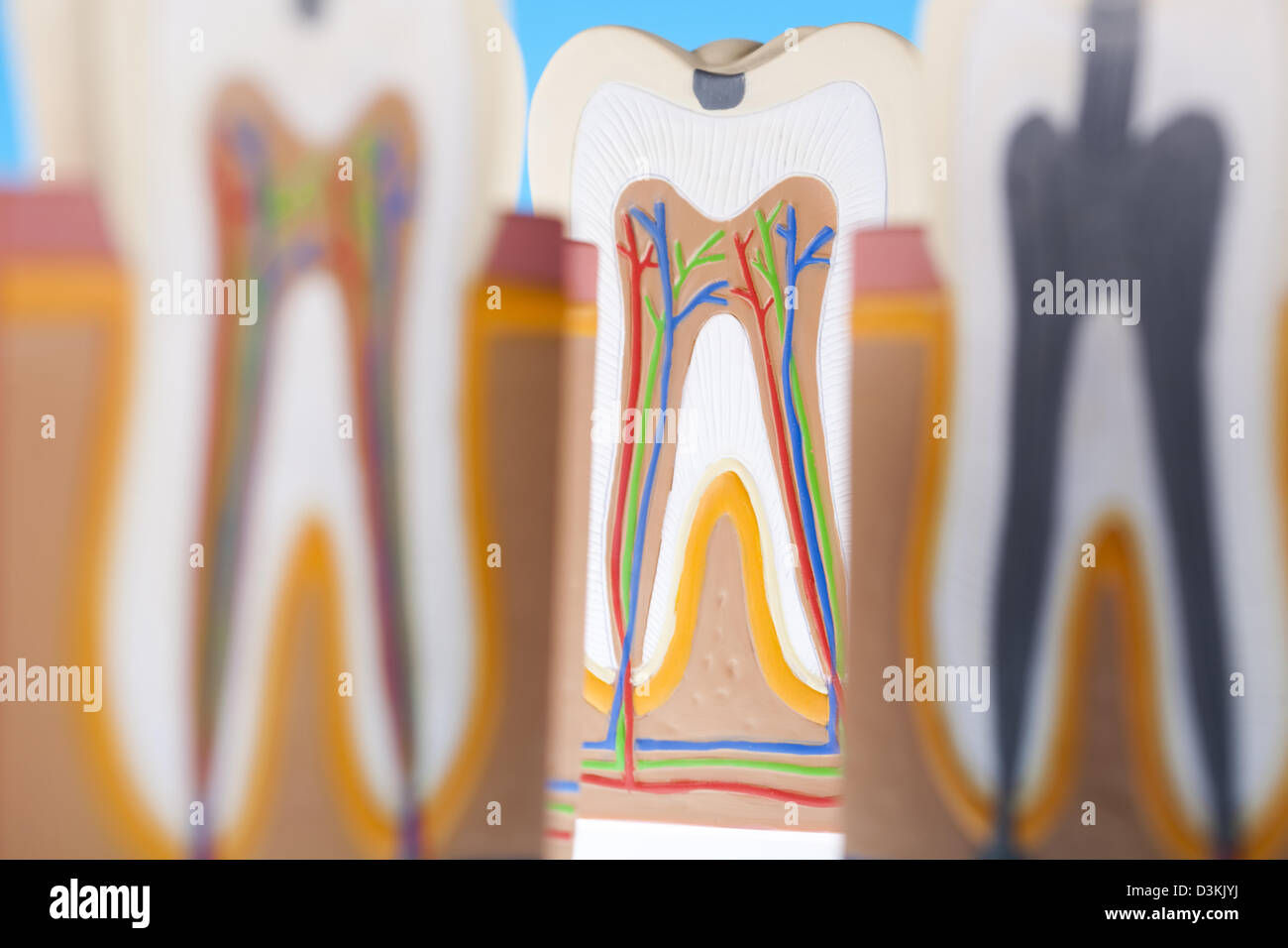 Molar nail hi-res stock photography and images - Alamy