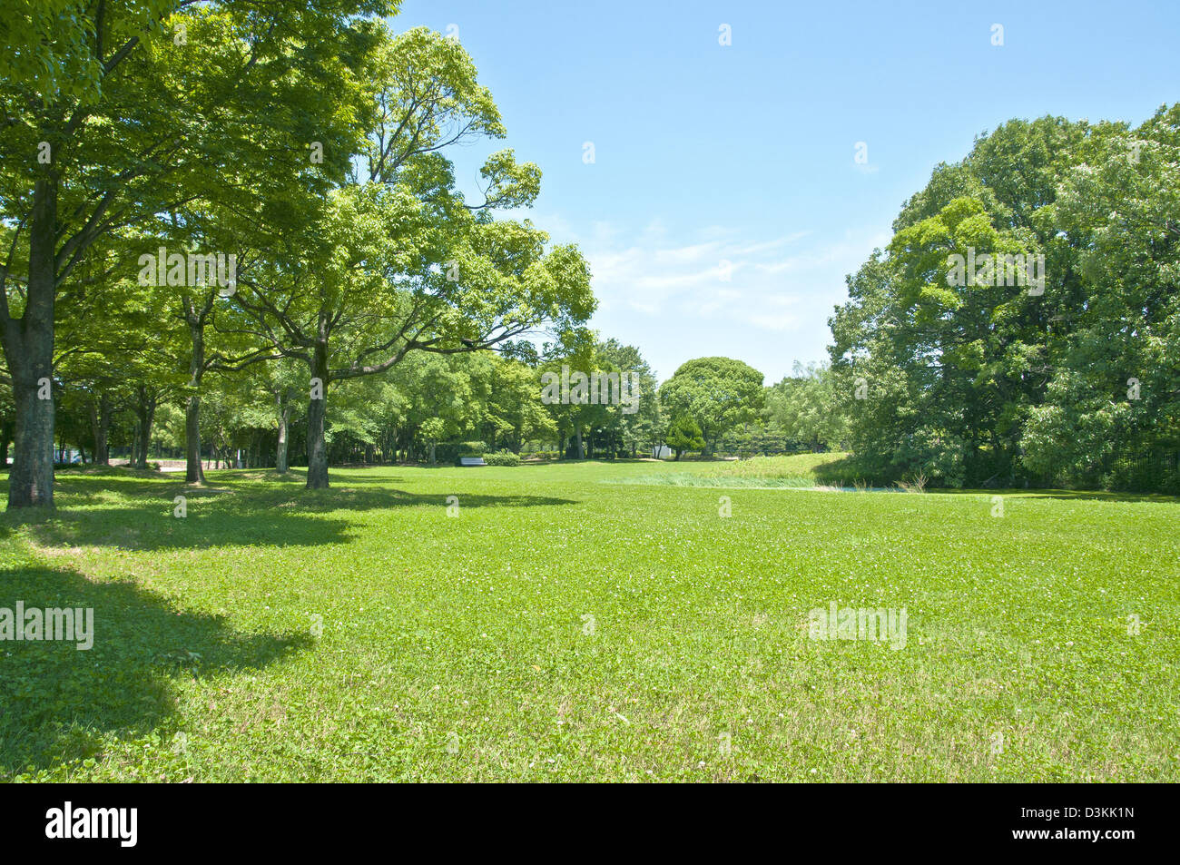 Trees and grassland Stock Photo - Alamy