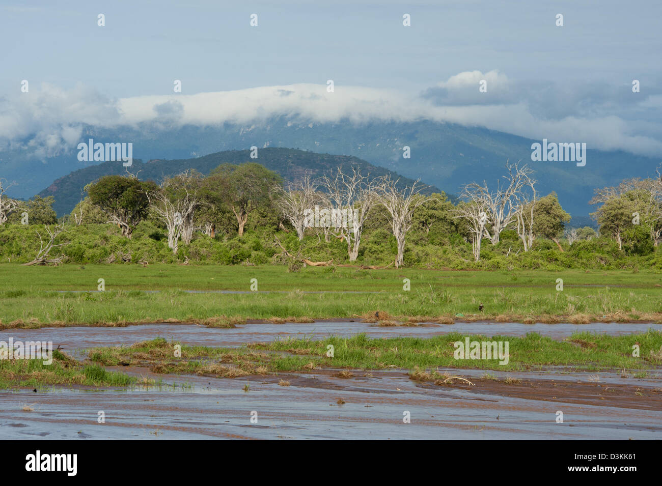 Voi kenya hi-res stock photography and images - Alamy