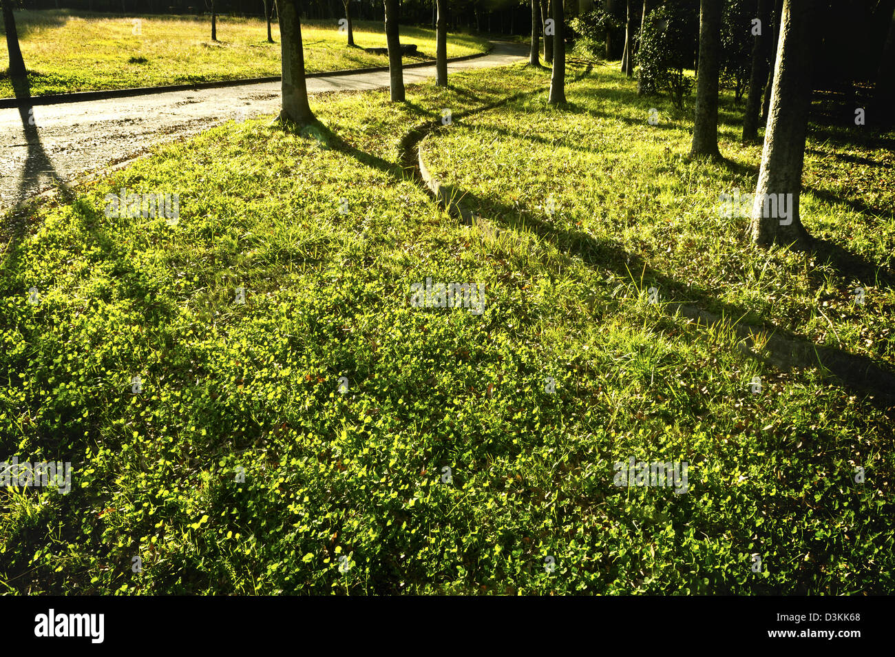 Materials on ground hi-res stock photography and images - Alamy
