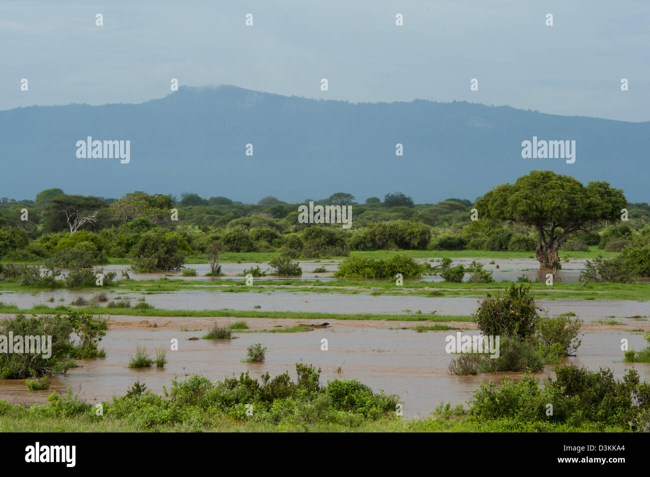Voi river in flood in front of Taita Hills, Tsavo East National Park ...