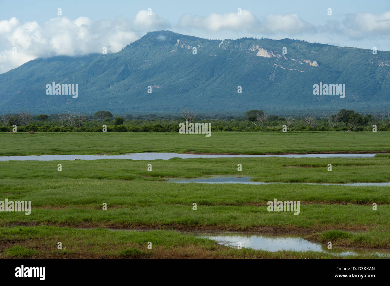Swamps at parks hi-res stock photography and images - Alamy