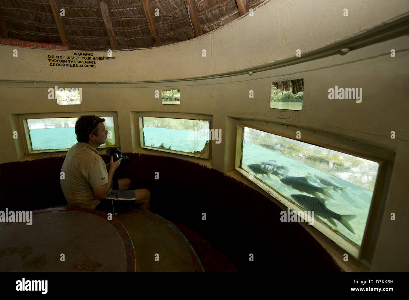 Underwater viewing chamber, Mzima Springs, Tsavo West National Park ...