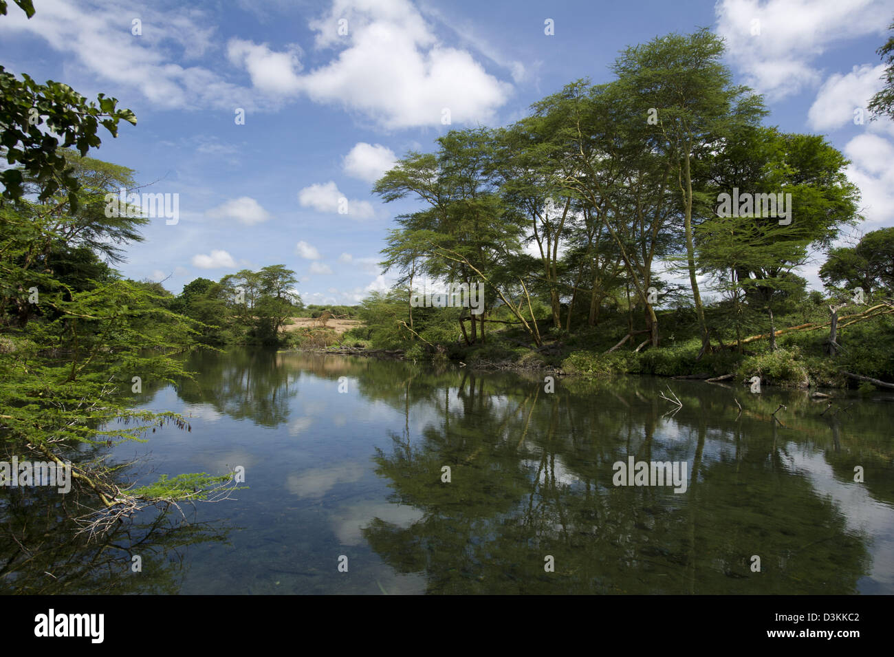 Mzima springs hi-res stock photography and images - Alamy