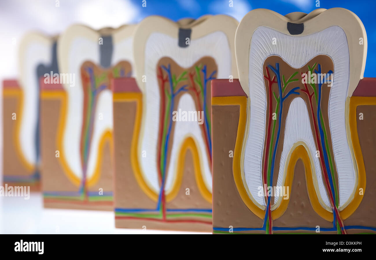 Molar nail hi-res stock photography and images - Alamy