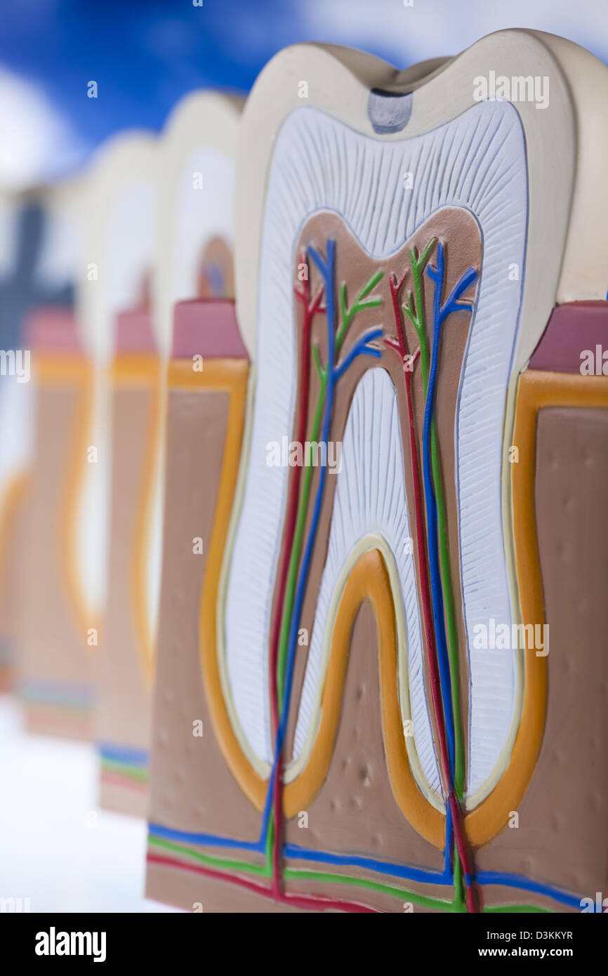 Molar nail hi-res stock photography and images - Alamy