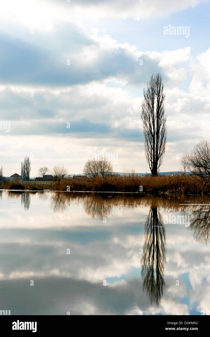 River illustration vector hi-res stock photography and images - Alamy