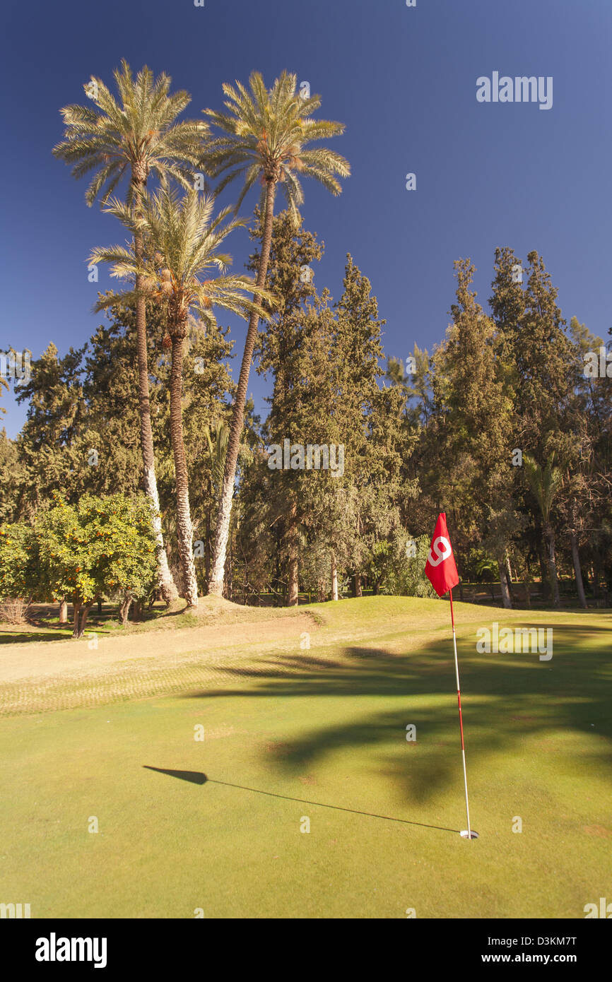 Flag and trees hi-res stock photography and images - Alamy