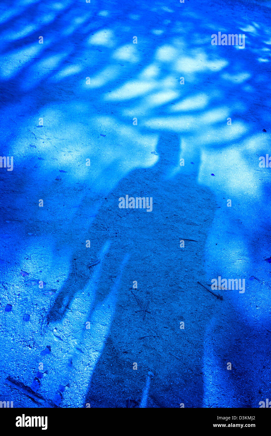 Shadows of trees and people on the ground Stock Photo - Alamy
