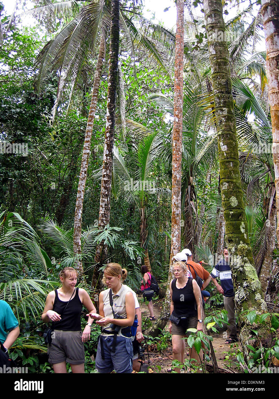 Trudge High Resolution Stock Photography and Images - Alamy