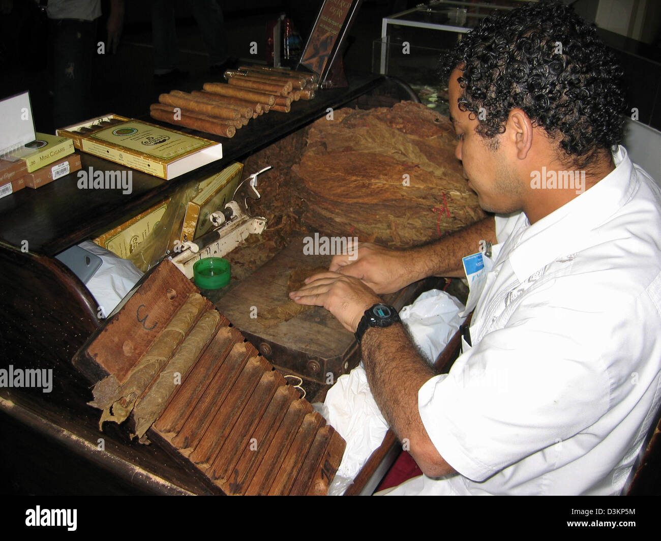 (dpa) - The picture shows an employee of a cigar factory demonstrating ...