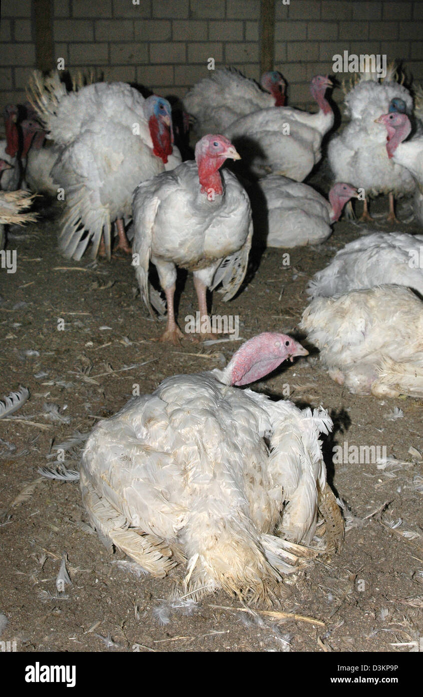 Unable to move hi-res stock photography and images - Alamy