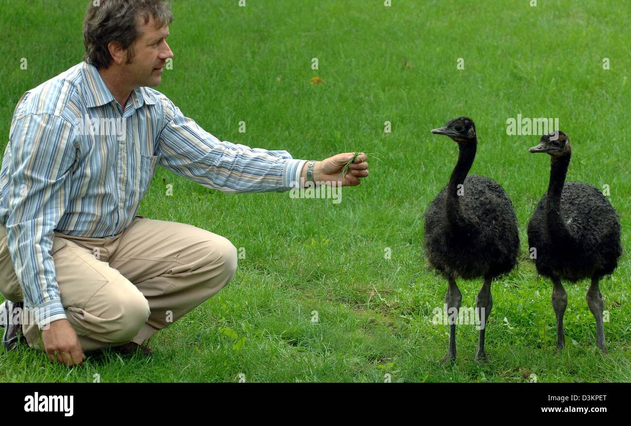Grey rather than black hi-res stock photography and images - Alamy