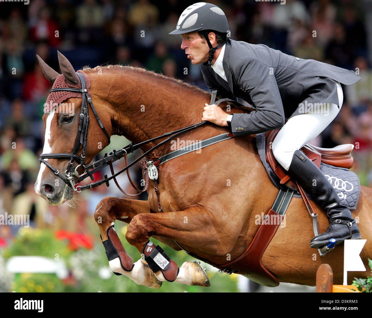 (dpa) - German equestrian Ludger Beerbaum jumps over a barrier on his ...
