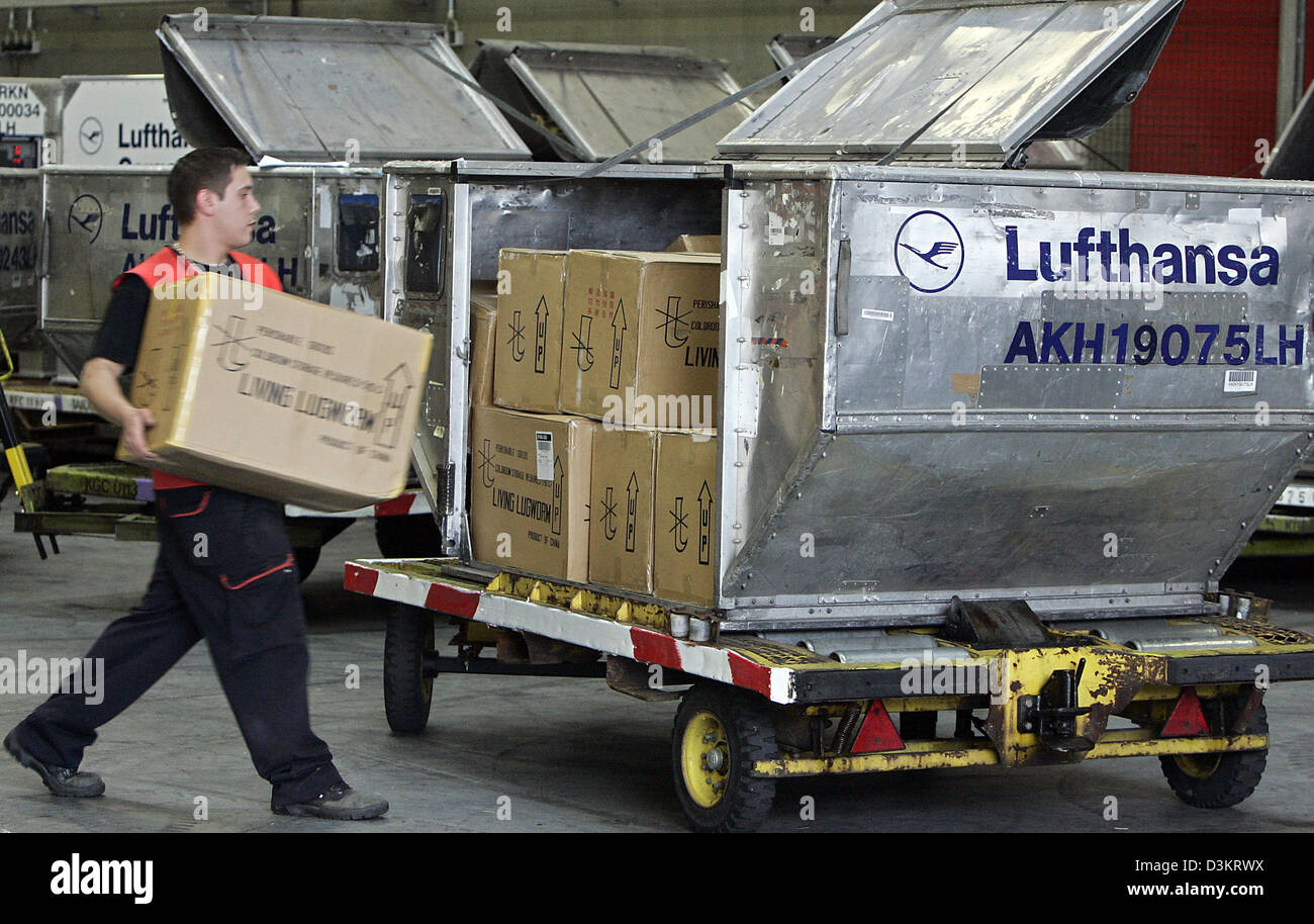 (dpa) - A member of staff of the cargo airline 'Lufthansa Cargo' loads ...