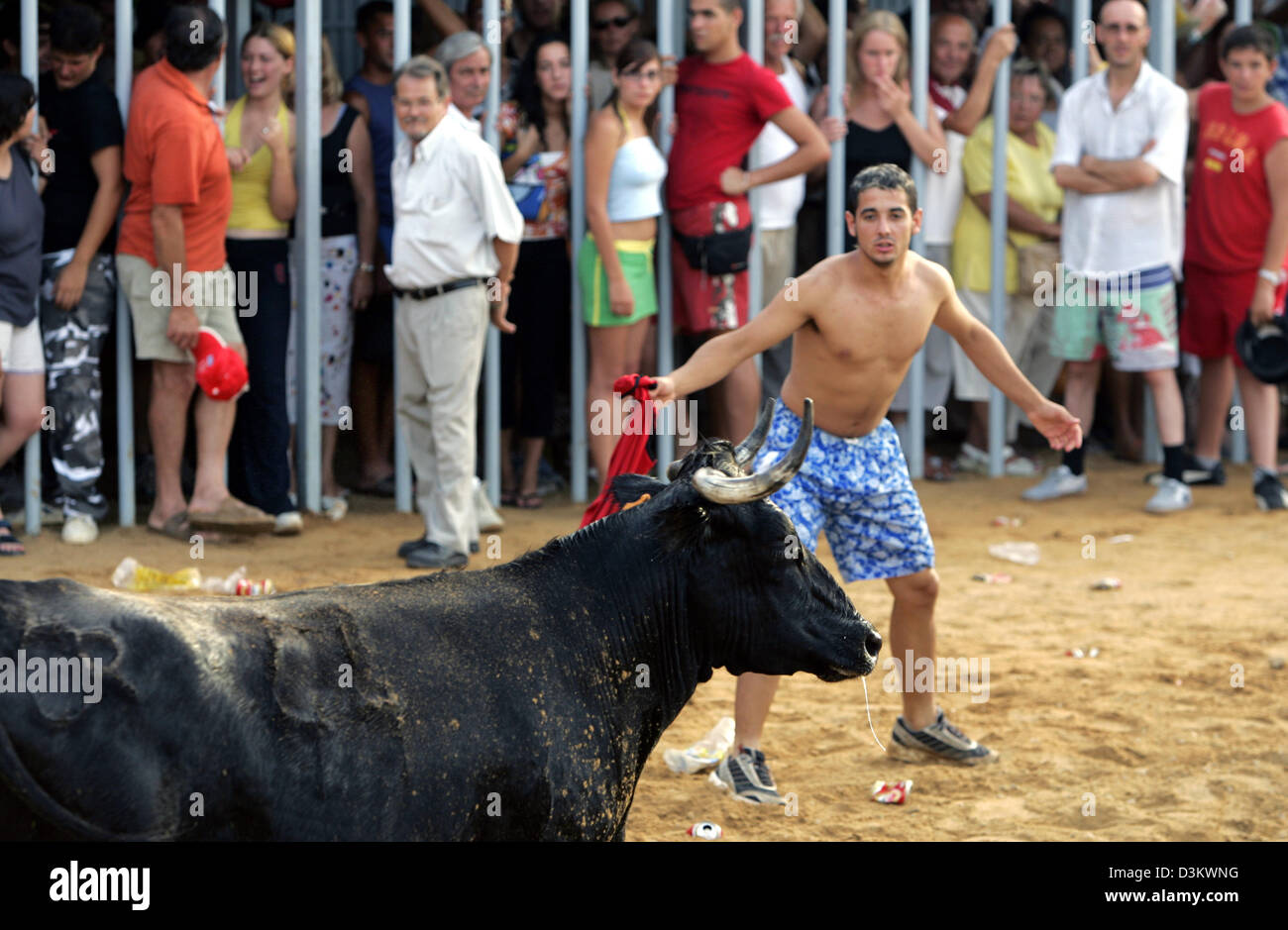 (dpa) - A young man tries to provoke a bull in the arena at the harbour ...