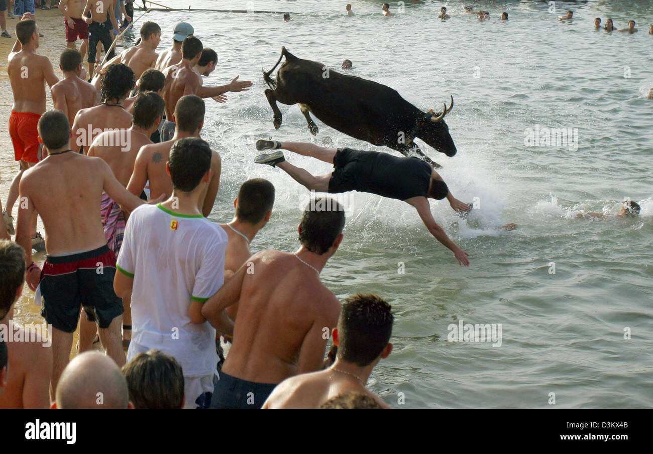 (dpa) - A bull jumps into the sea during the traditional running of ...