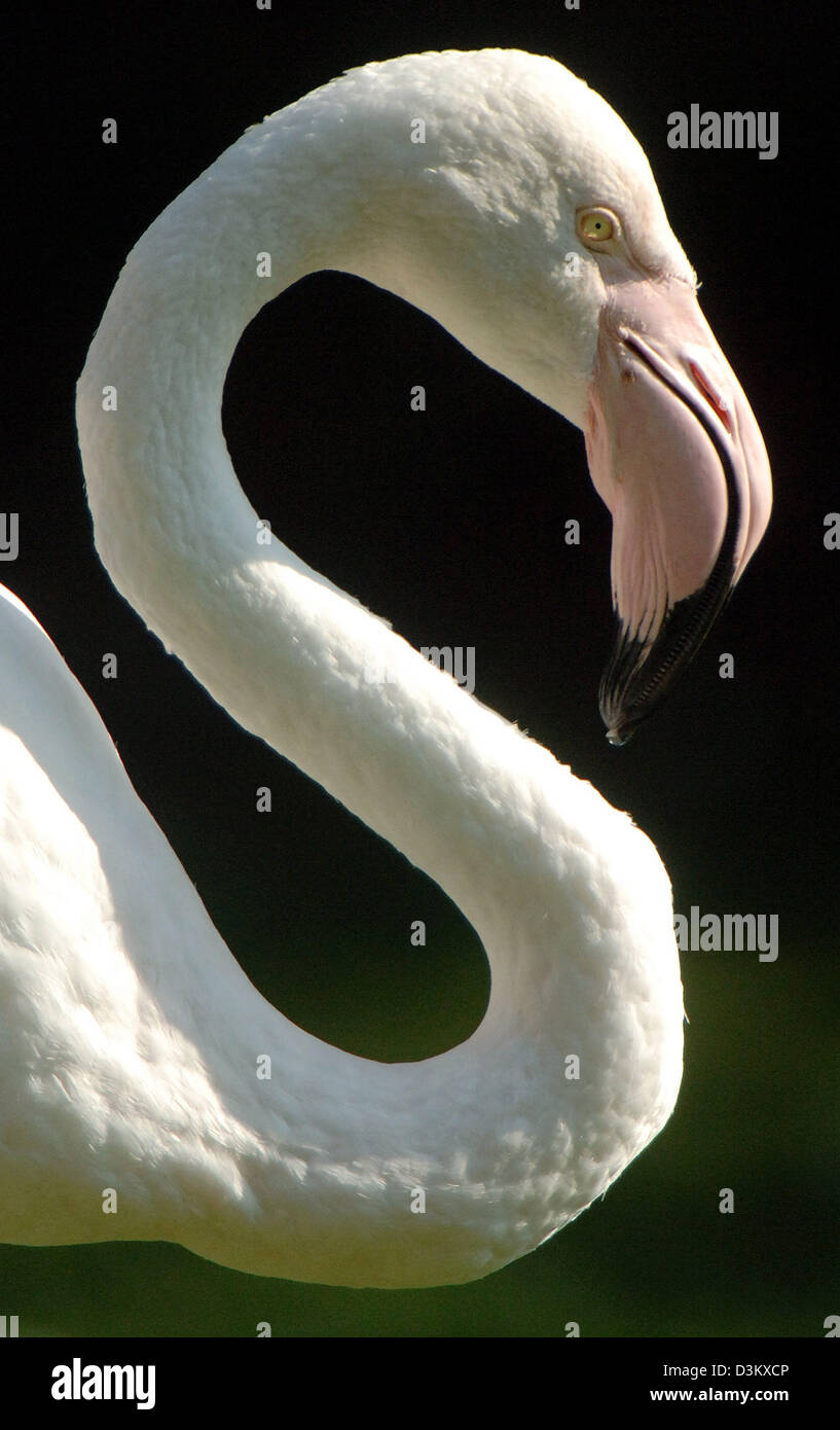 23 September 2005 High Resolution Stock Photography and Images - Alamy
