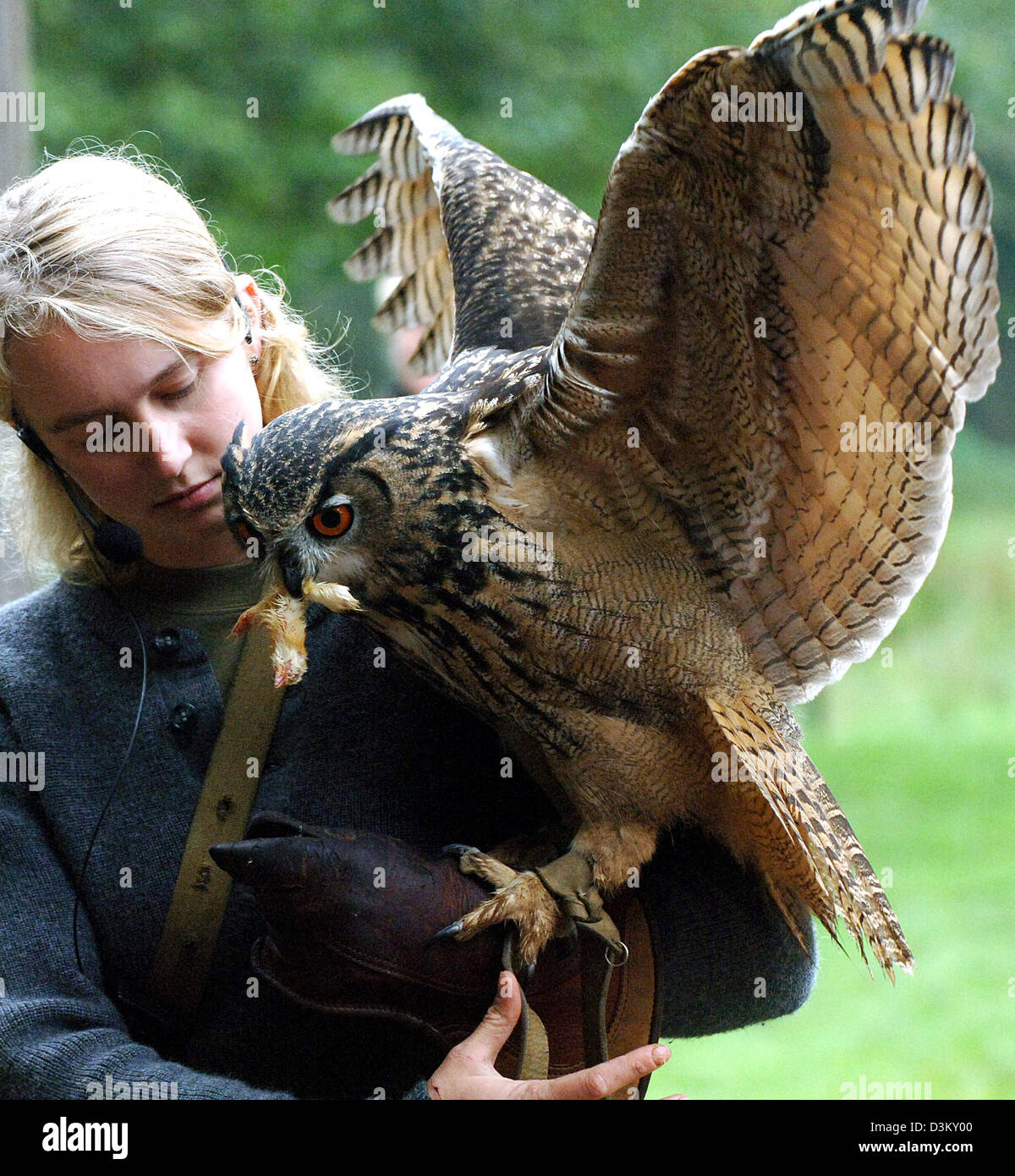 (dpa) - The picture shows female falconer Doerte Thomsen with a young ...