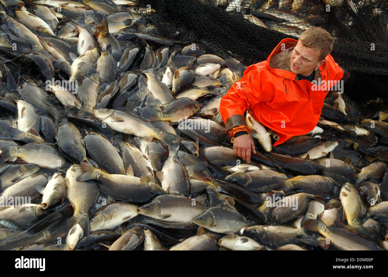 Deu single action feature hi-res stock photography and images - Alamy