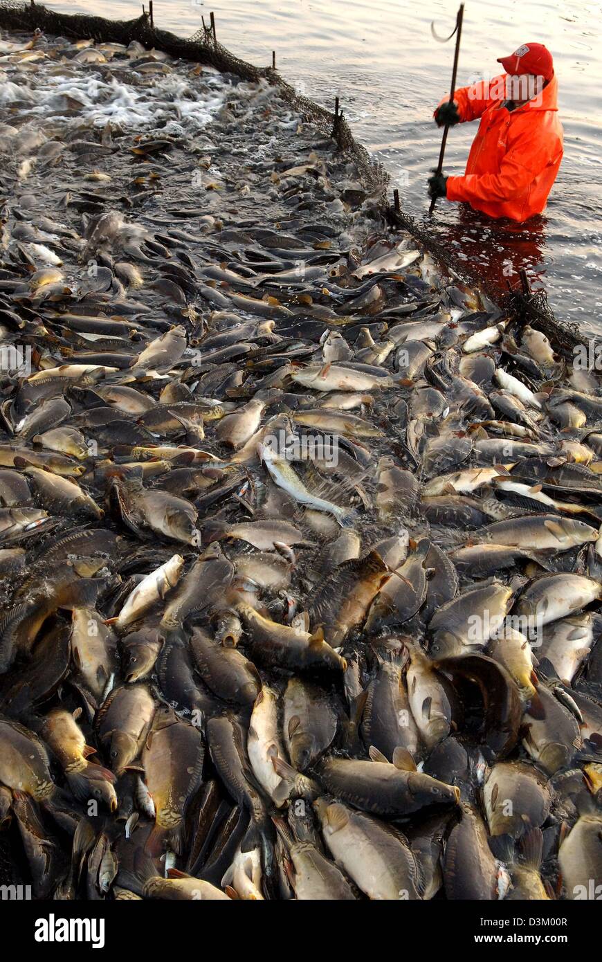 Breeding basins hi-res stock photography and images - Alamy