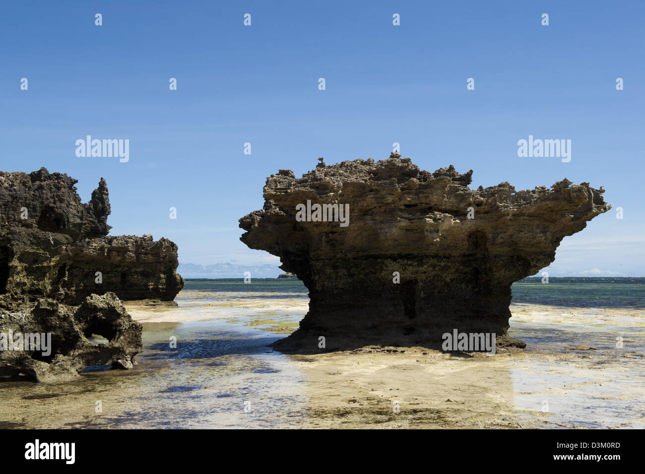Coral outrcrop, Turtle Bay, Watamu, Kenya Stock Photo - Alamy