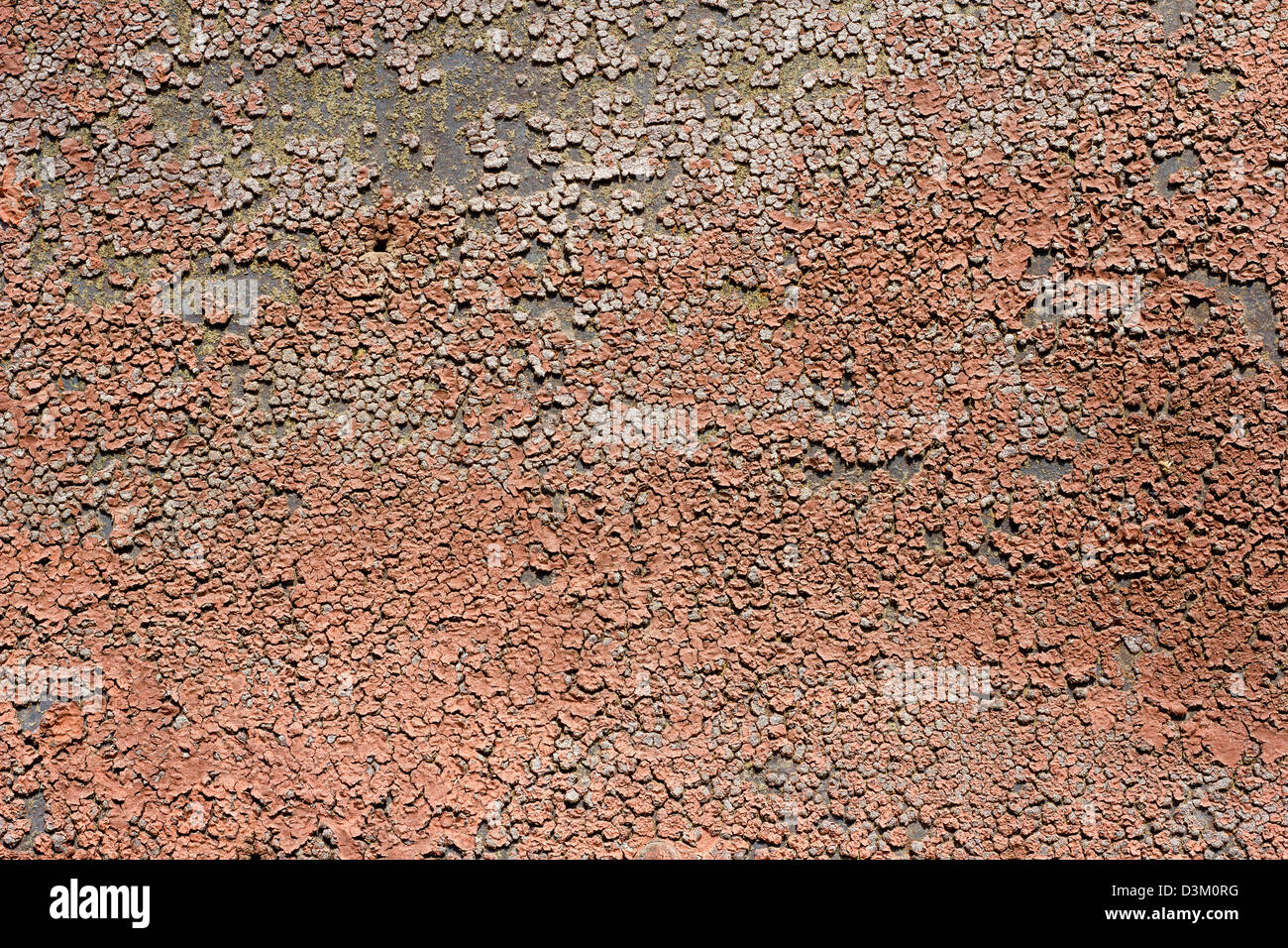 Detailed wall texture Stock Photo - Alamy