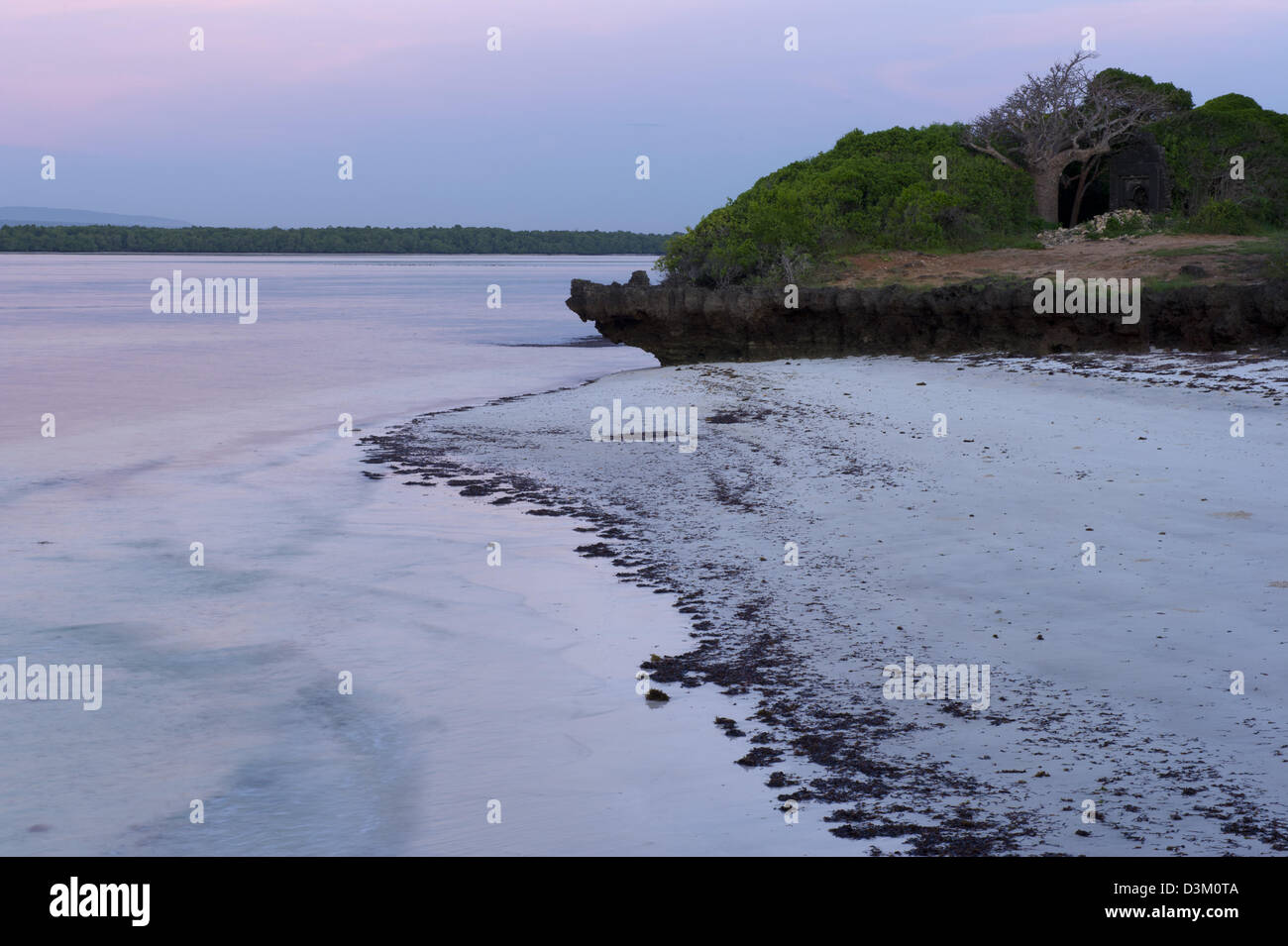Coral outcrops in Turtle Bay, Watamu, Kenya Stock Photo - Alamy